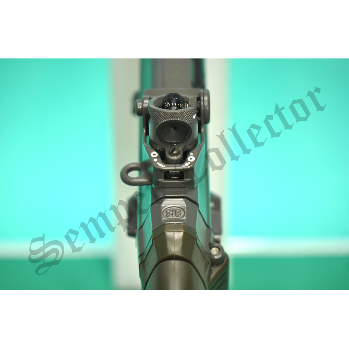 SIG PE 90 semi-auto assault rifle